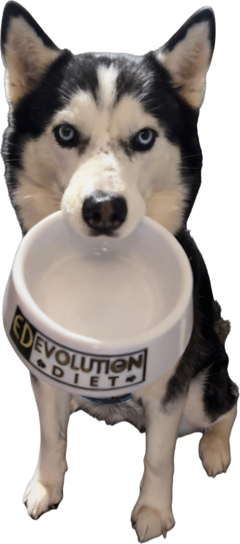 Evolution Diet | Love Them Longer with the Best Nutrition
